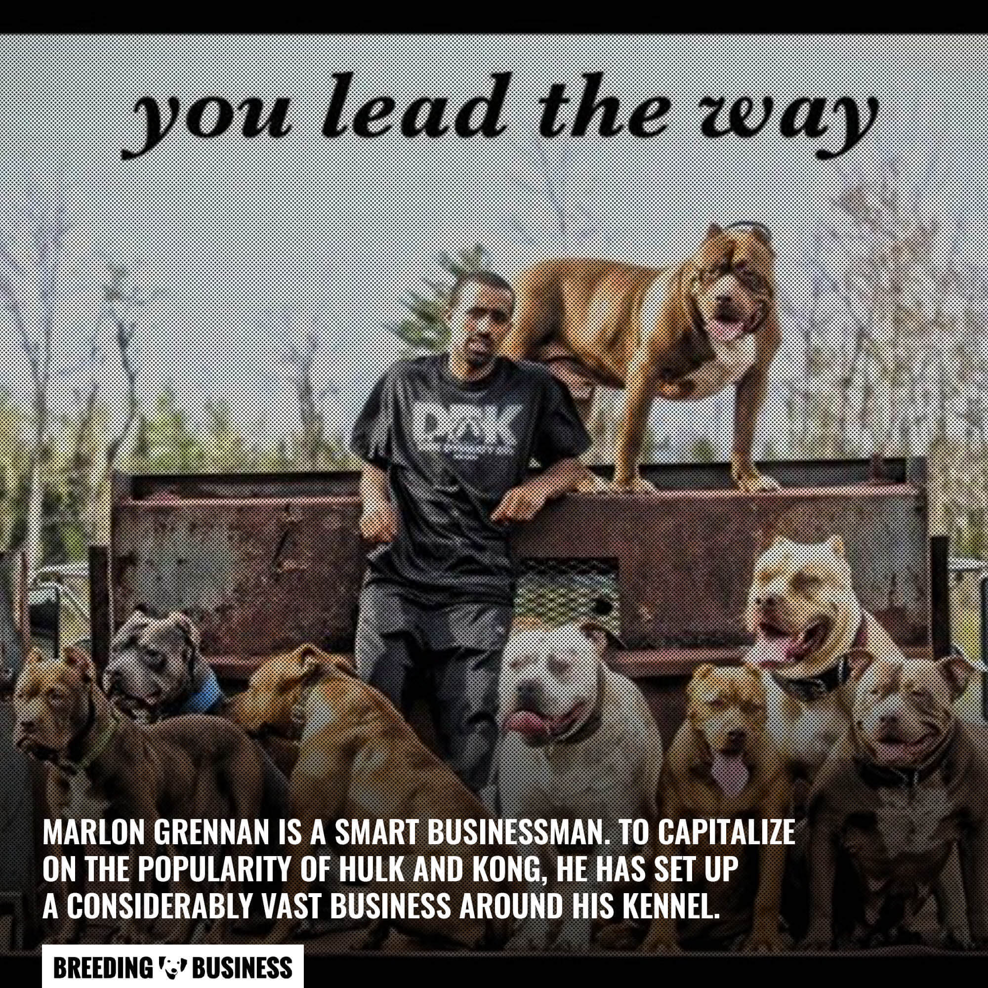 DDK9 Kong – Son Of "The Hulk" – Media, Temperament & FAQs